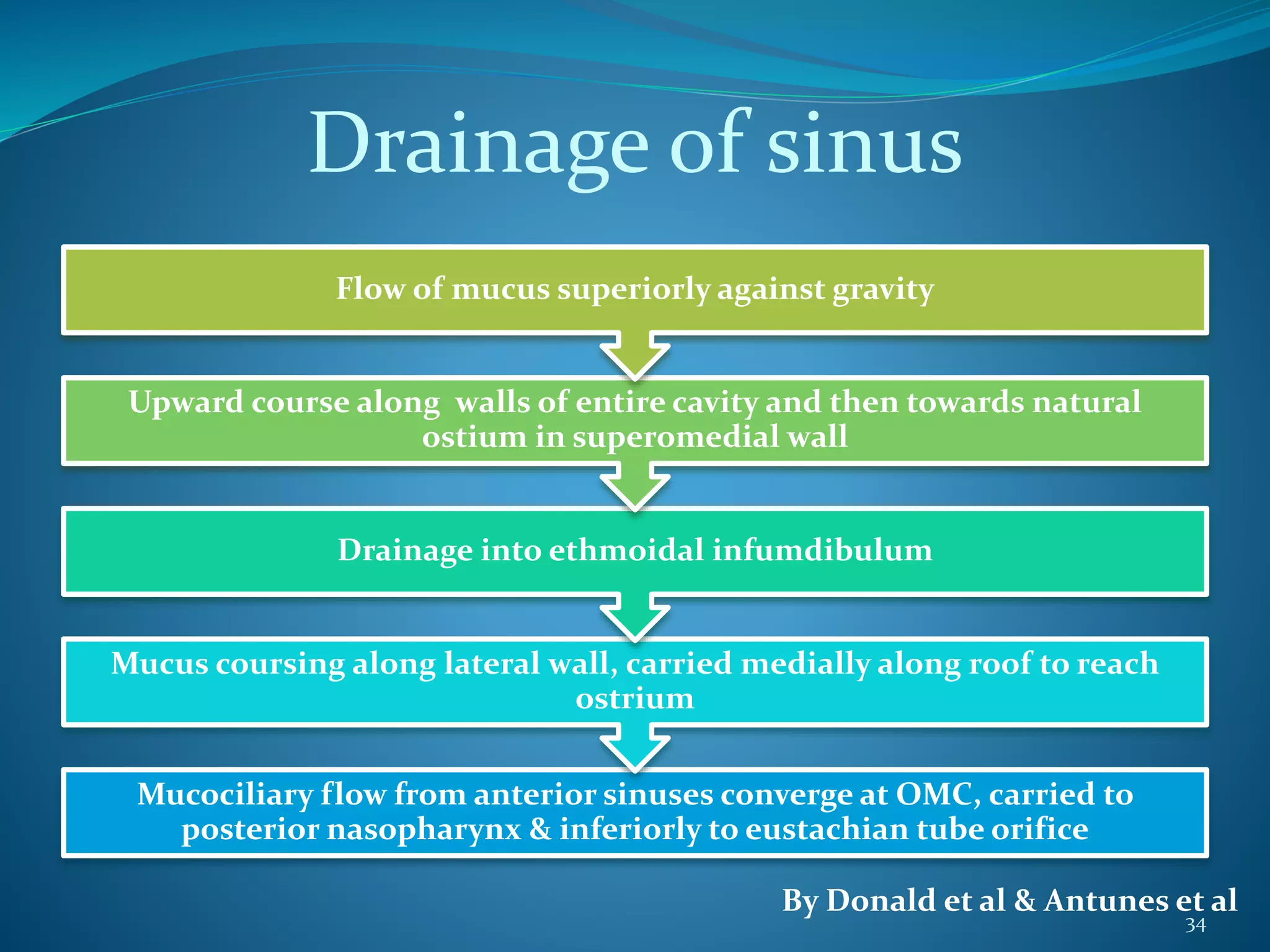 Disorders of Maxillary Sinus | PPTX