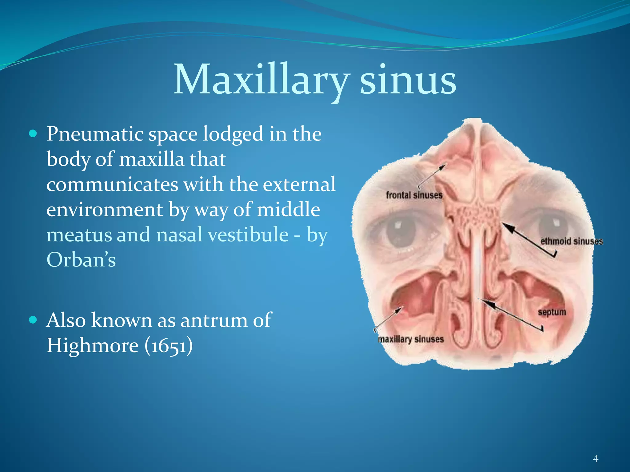 Disorders of Maxillary Sinus | PPTX