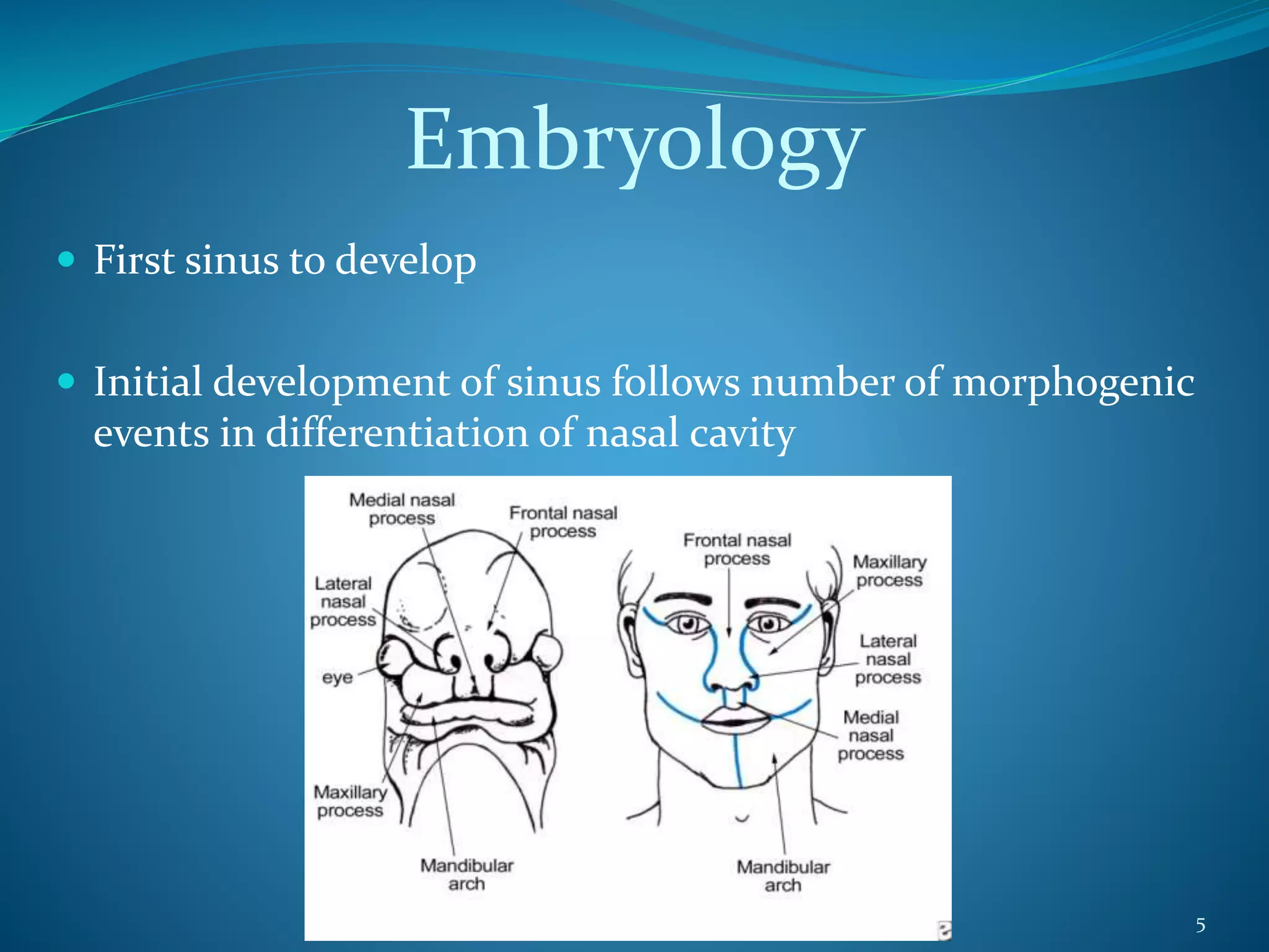 Disorders of Maxillary Sinus | PPTX