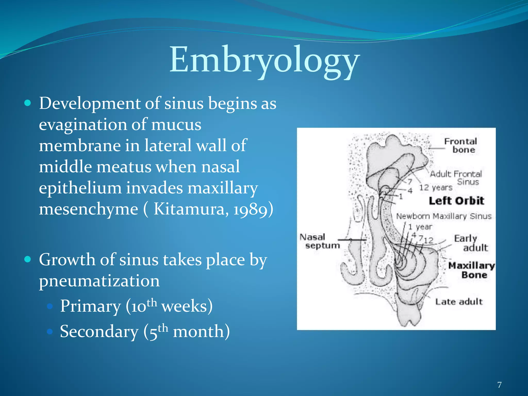 Disorders of Maxillary Sinus | PPTX