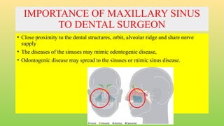 DISORDERS OF MAXILLARY SINUS.pptx- DR PRIYANKA | PPTX
