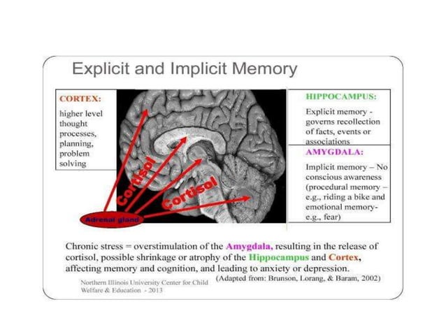 disordersofmemor .pptx.pdf