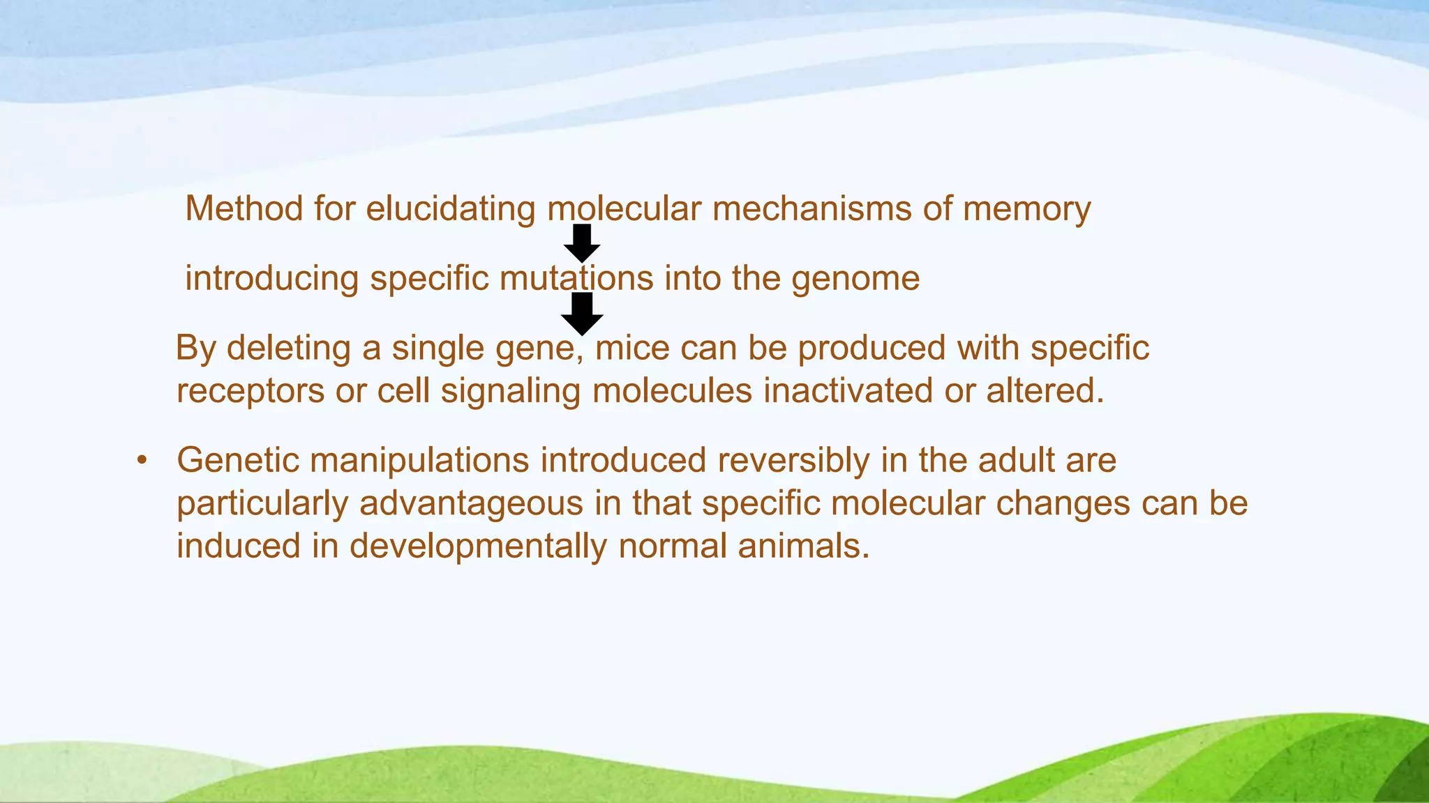 Disorders of memory | PPTX