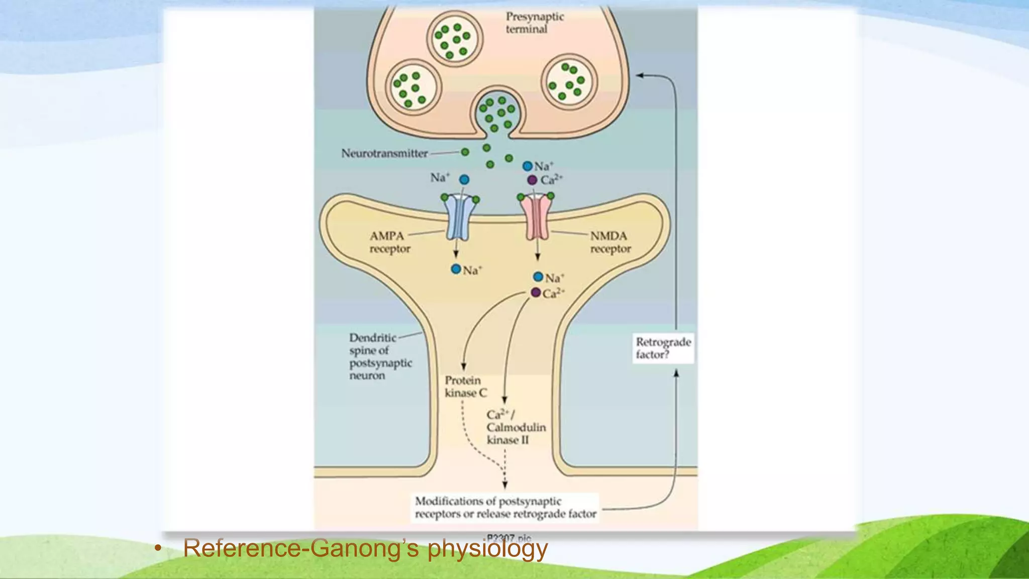 Disorders of memory | PPTX