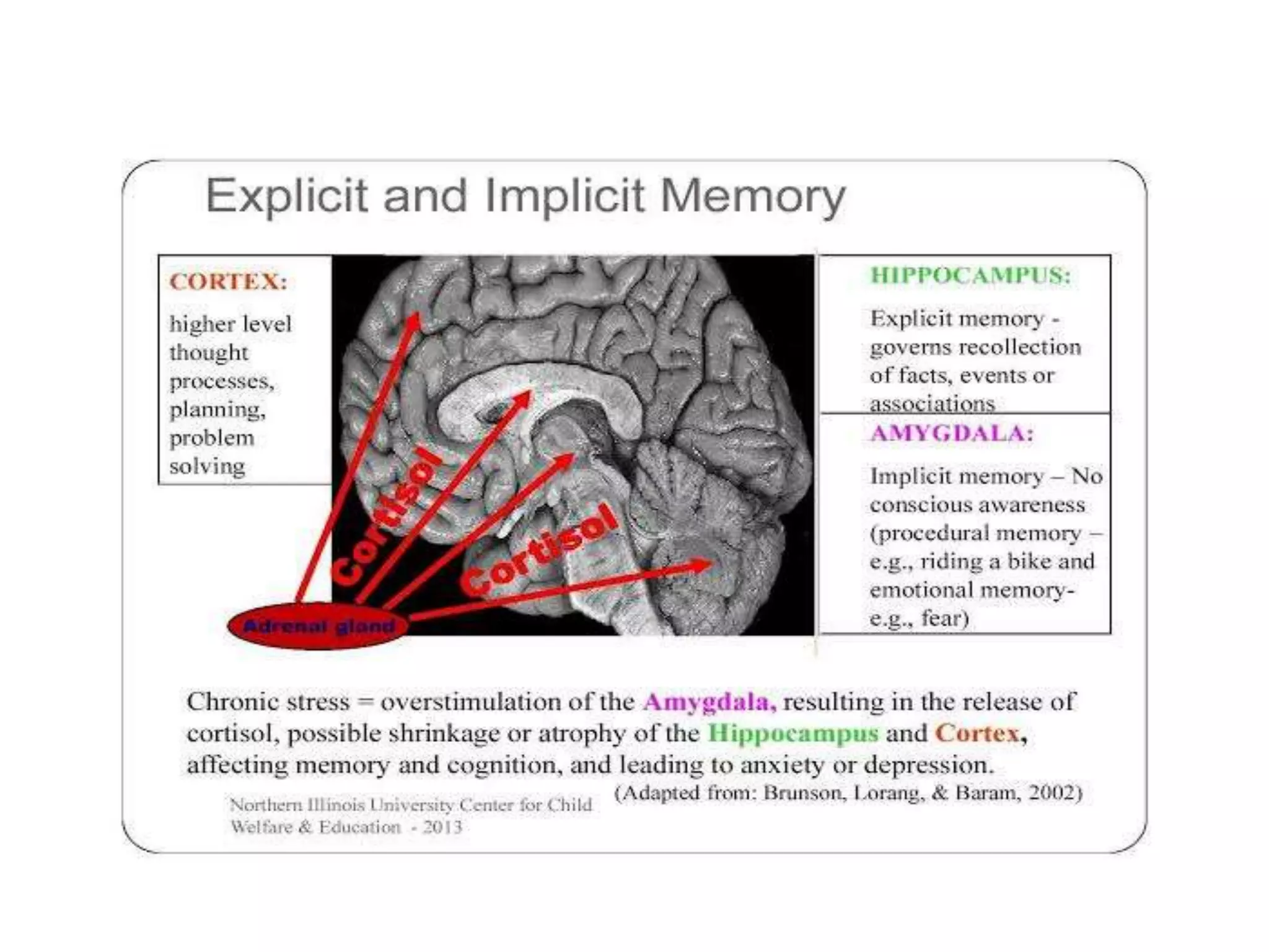 Disorders of memory | PPTX