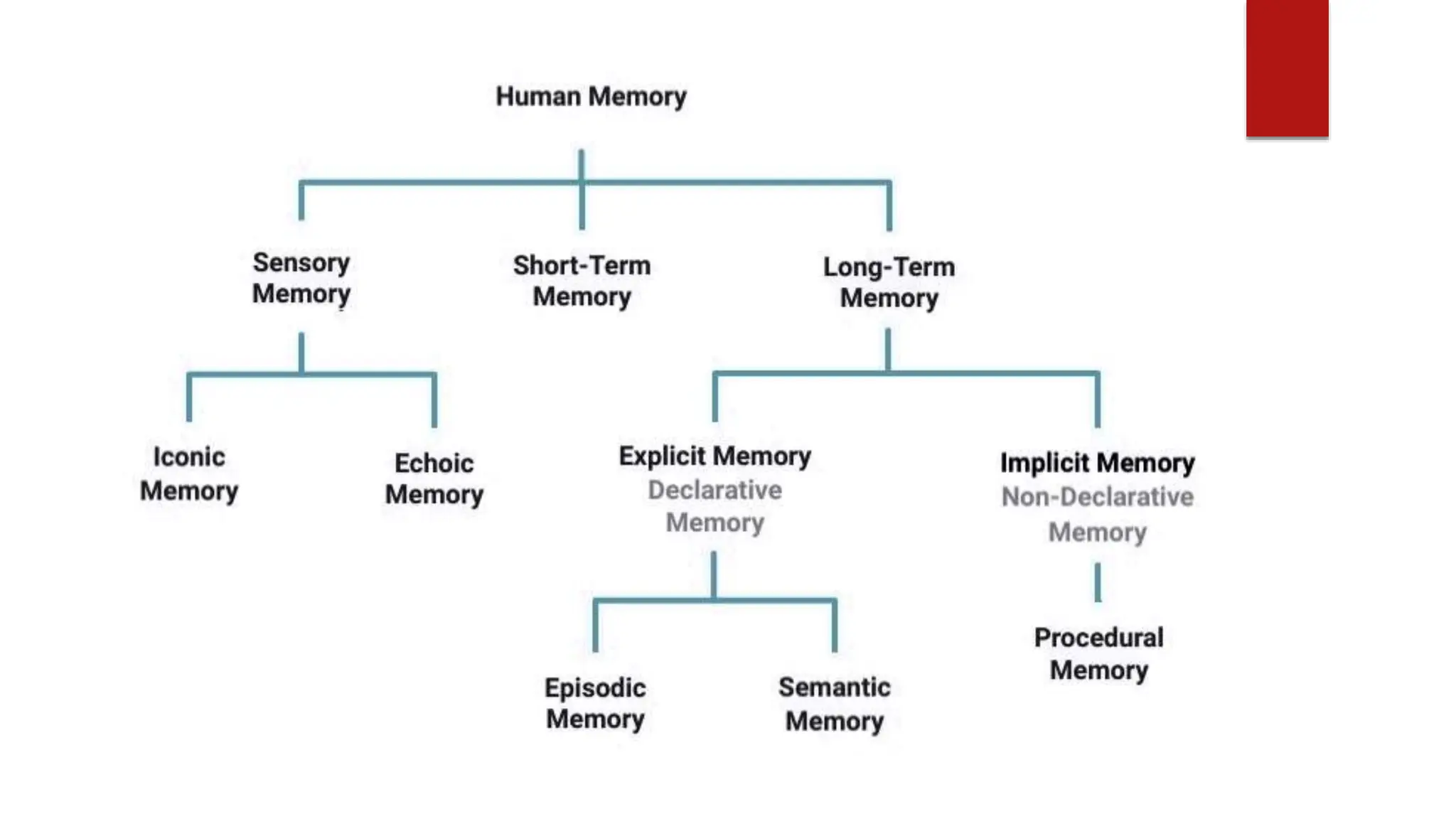 disorders of memory .pptx disorder of memory | PPT
