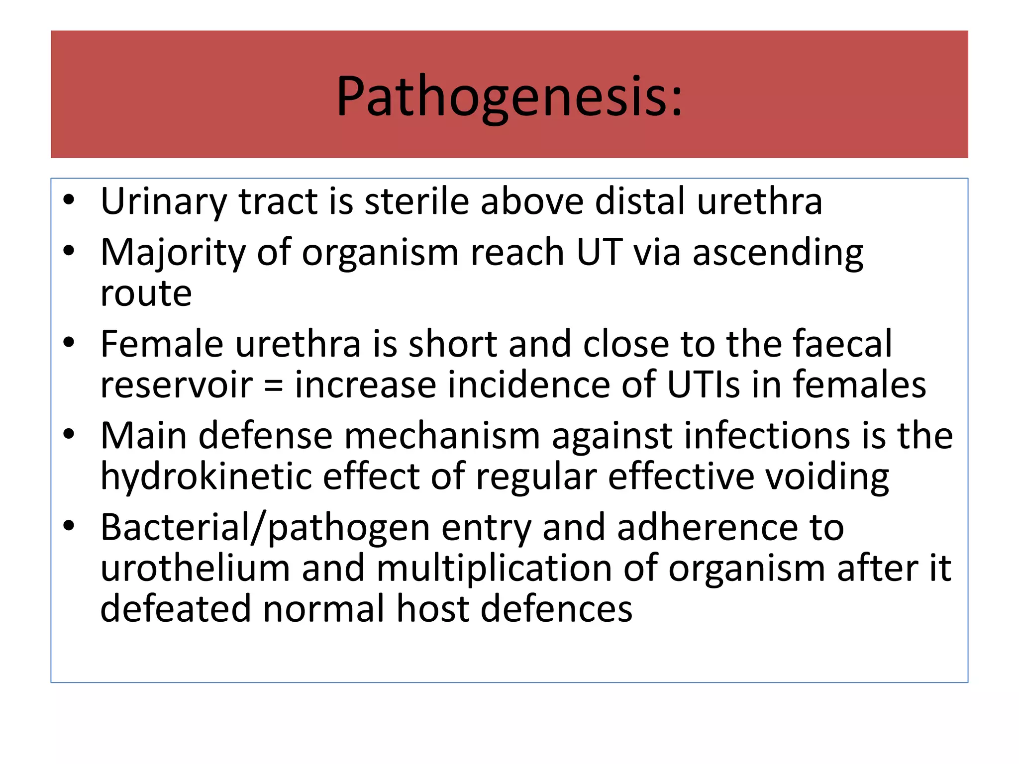 Disorders of micturation | PPTX