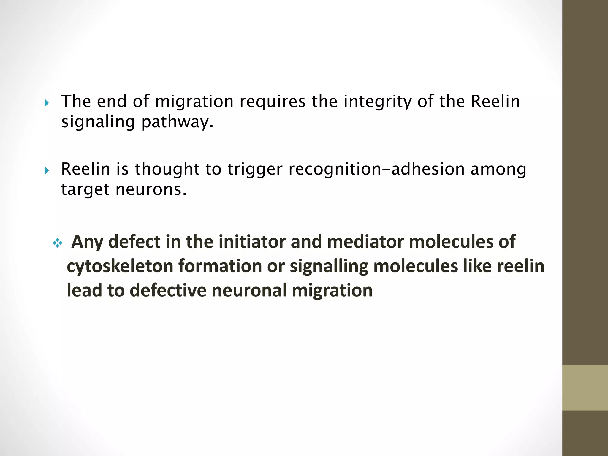 Disorders of neuronal migration | PPTX