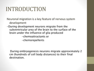 Disorders of neuronal migration | PPTX