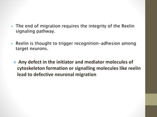 Disorders of neuronal migration | PPTX
