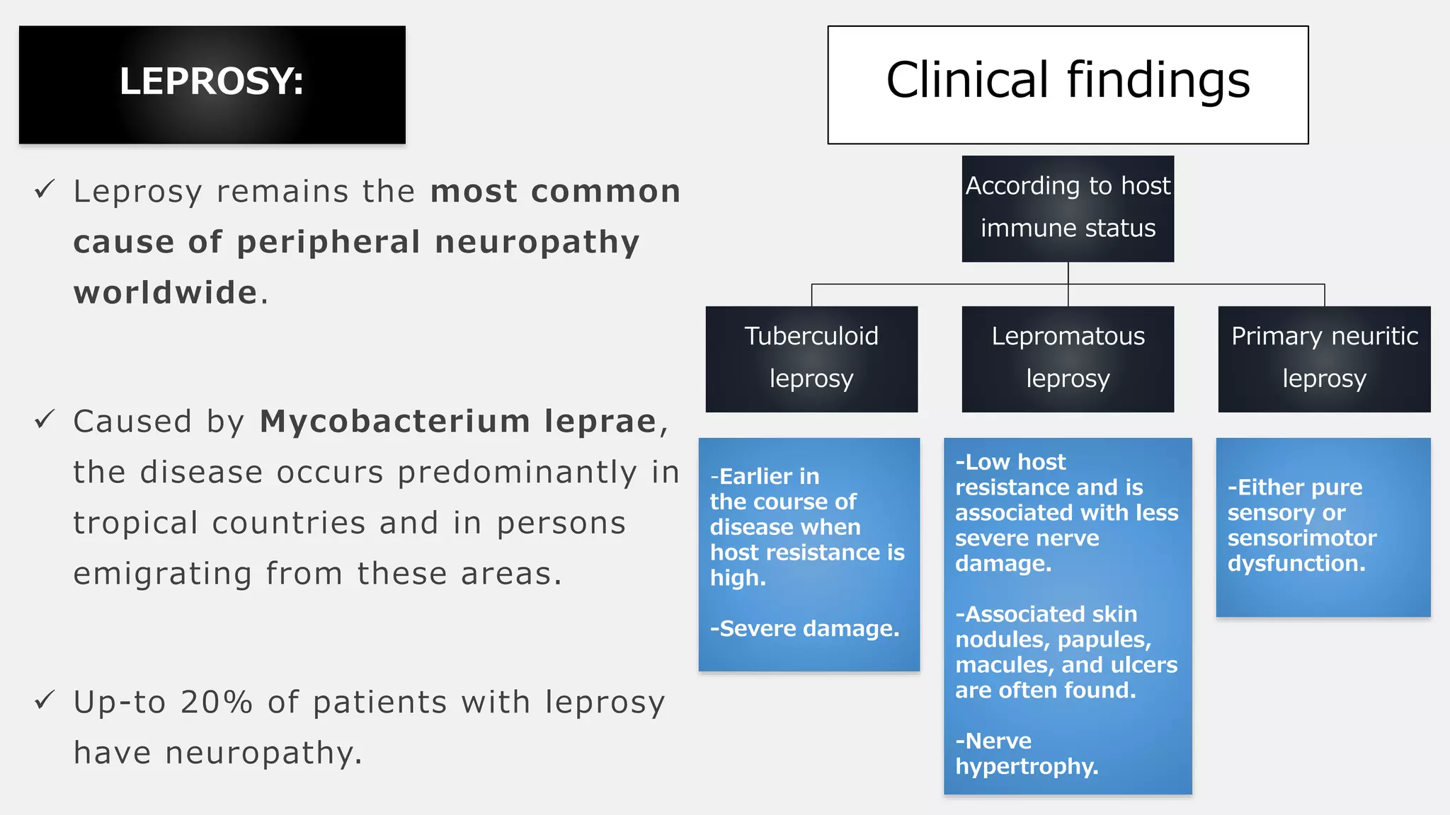 peripheral nerve disorders ( acquired polyneuropathy) part 2 | PPTX