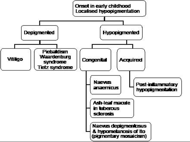 Disorders of pigmentation | PPT | Skin and Dermatology | Diseases and ...