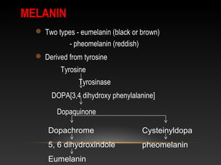 Disorders of pigmentation | PPT