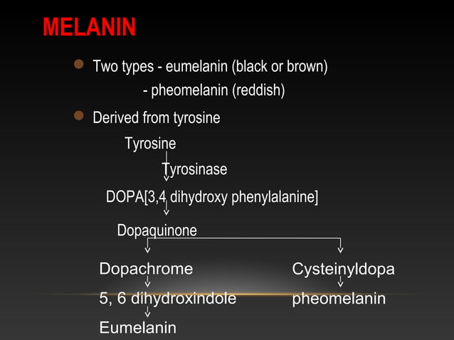 Disorders of pigmentation | PPT | Skin and Dermatology | Diseases and ...