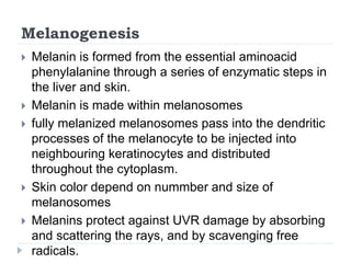 Disorders of pigmentation | PPTX
