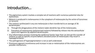 Disorders of pigmentation.pptx