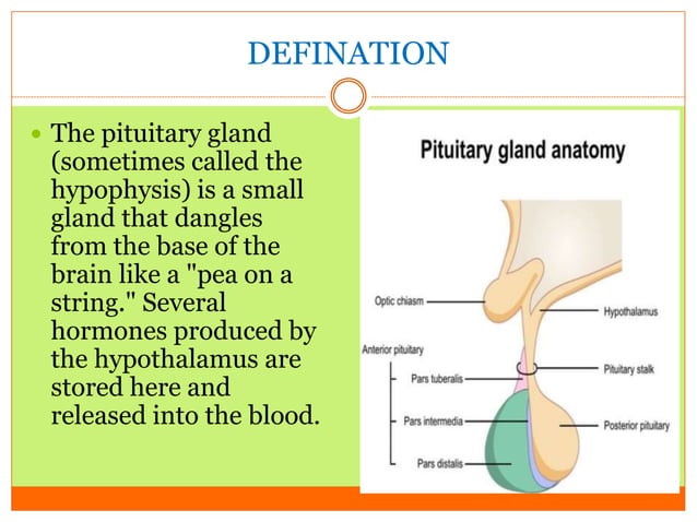 DISORDERS OF PITUITARY G.pptx | Hormonal Disorders | Endocrine and ...