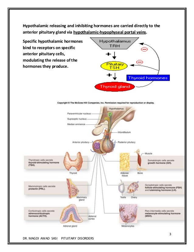 Disorders of pituitary gland (( THE MASTER )) BY M.SASI