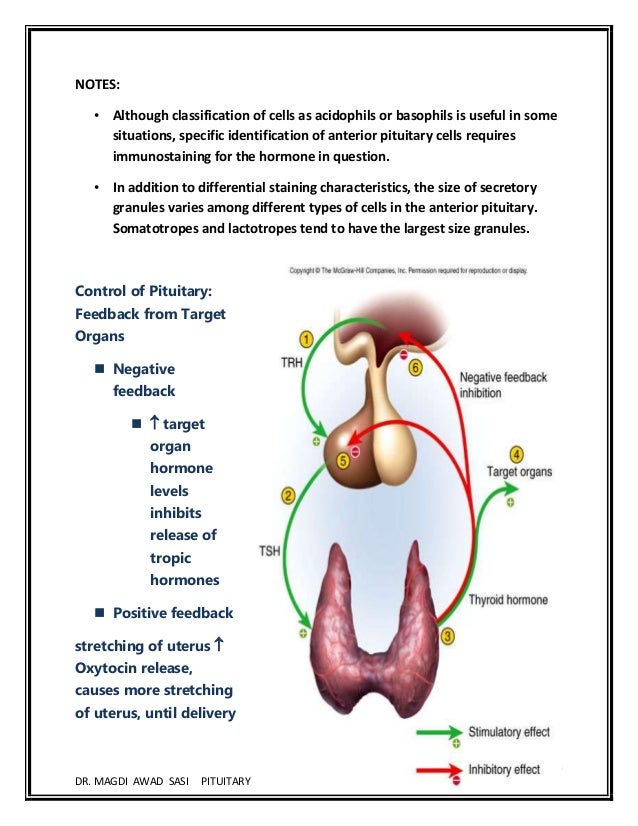 Disorders Of Pituitary Gland The Master By Msasi