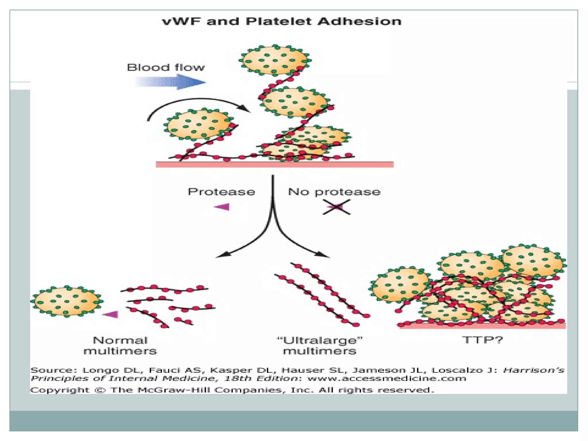 Disorders of platelets | PPT