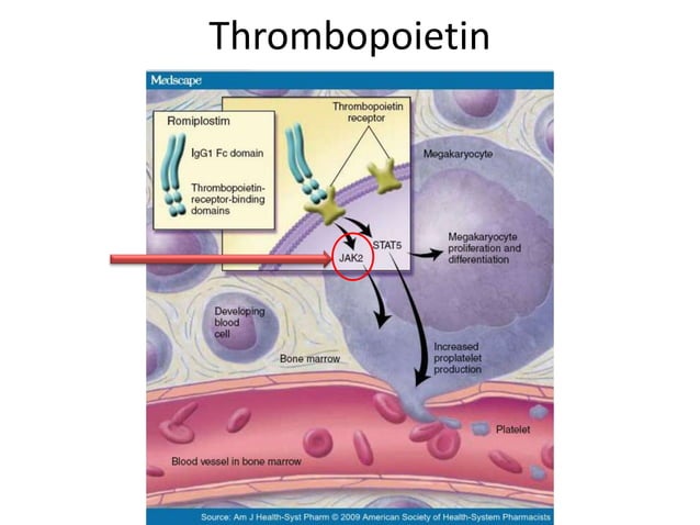 OVERVIEW Disorders of platelets