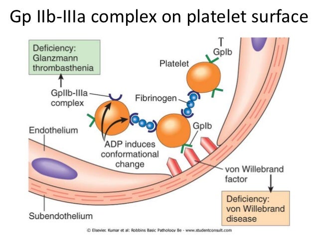OVERVIEW Disorders of platelets