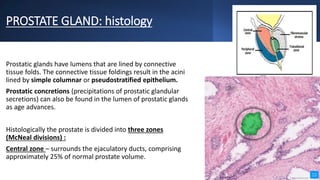 DISORDERS OF PROSTATE | PPTX