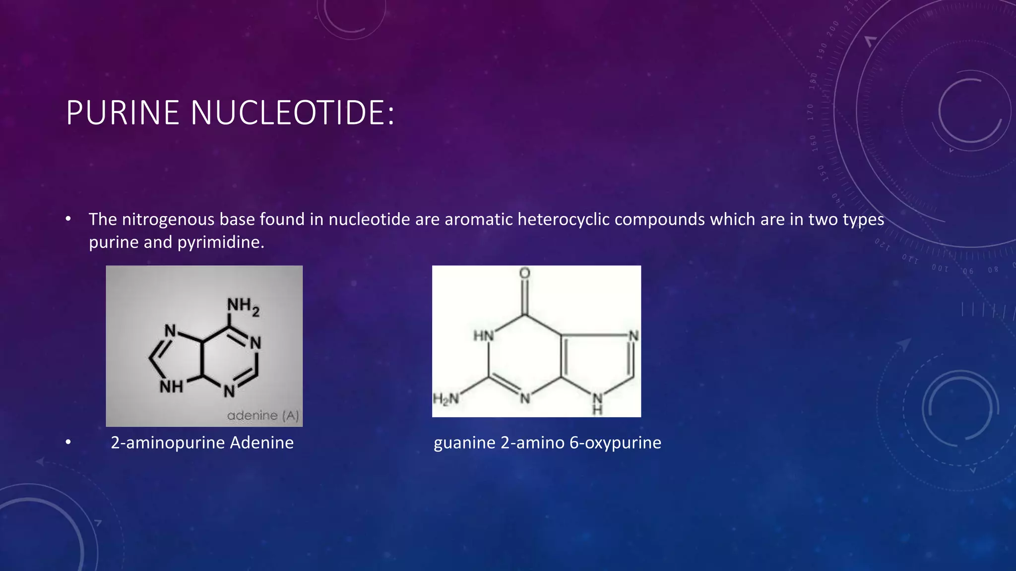 Disorders of purine and pyrimidine metabolism | PPTX