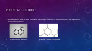 Disorders of purine and pyrimidine metabolism | PPTX