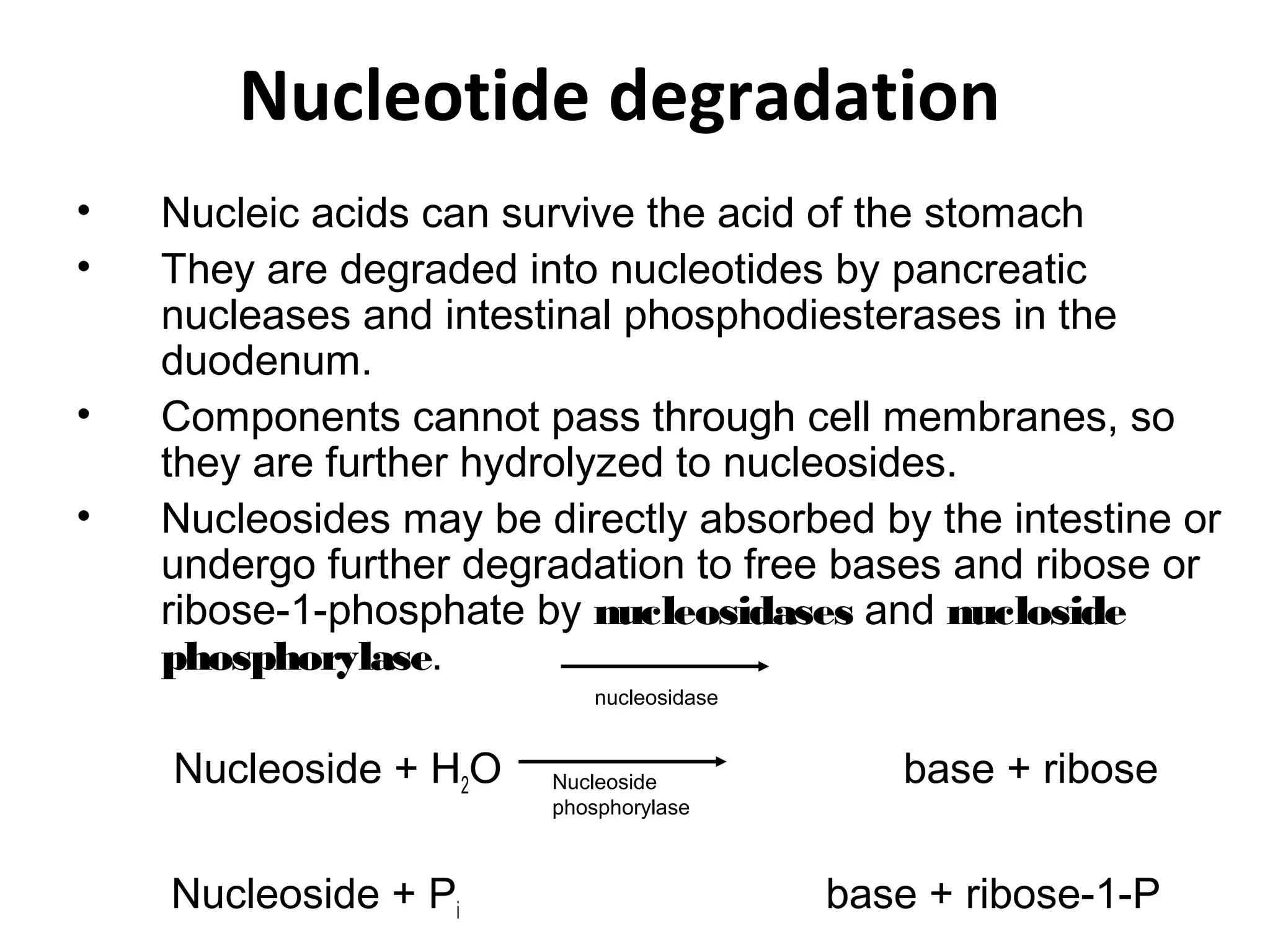 Disorders of purine metabolism | PPT
