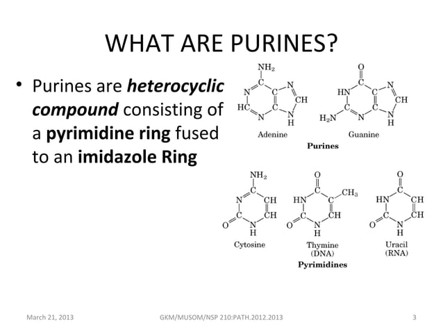 Disorders of purine metabolism | PPT | Endocrine and Metabolic Diseases ...