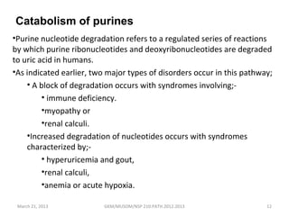 Disorders of purine metabolism | PPT