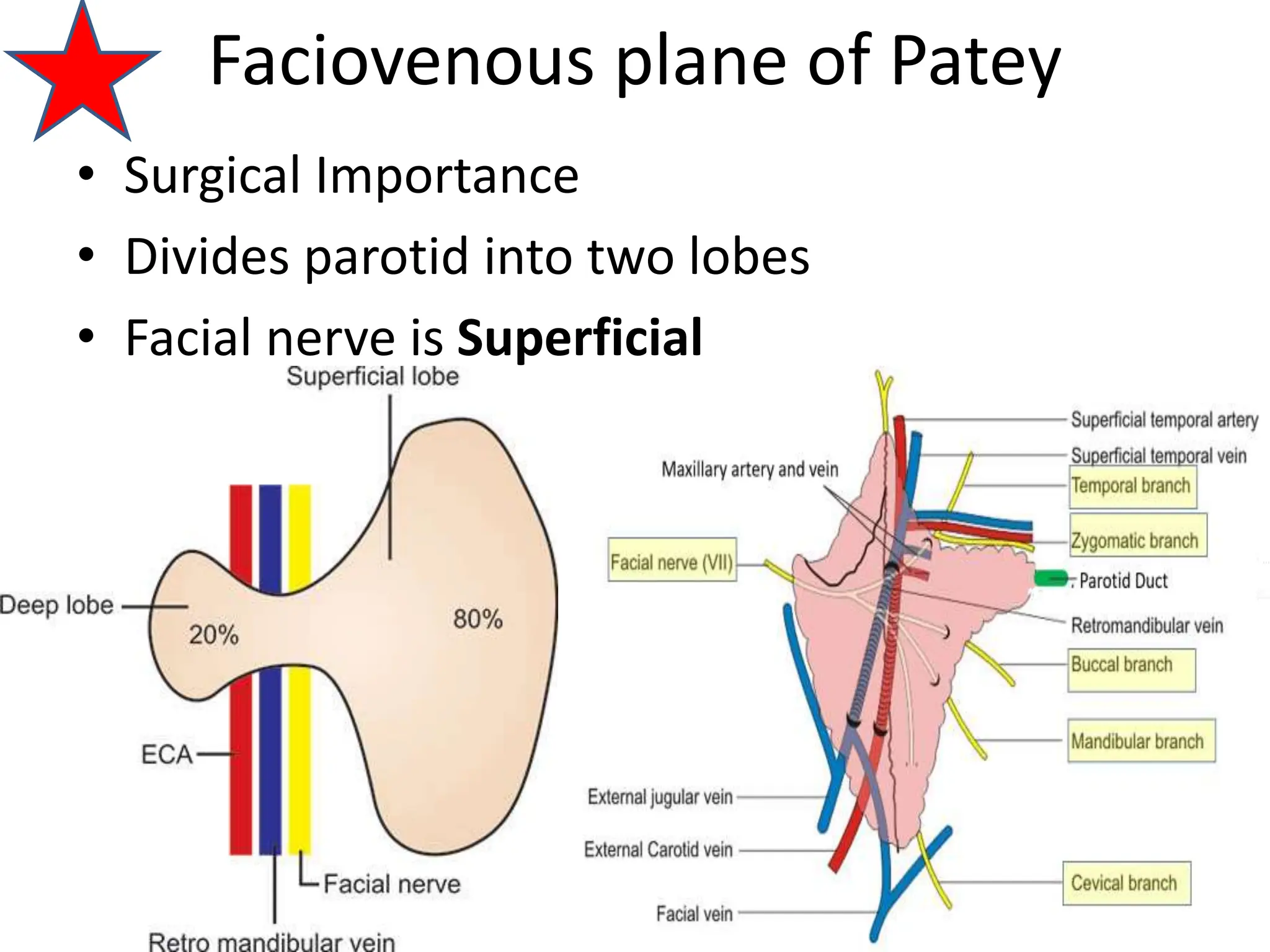 DISORDERS OF SALIVARY GLANDS-1- tumors,stones | PPTX