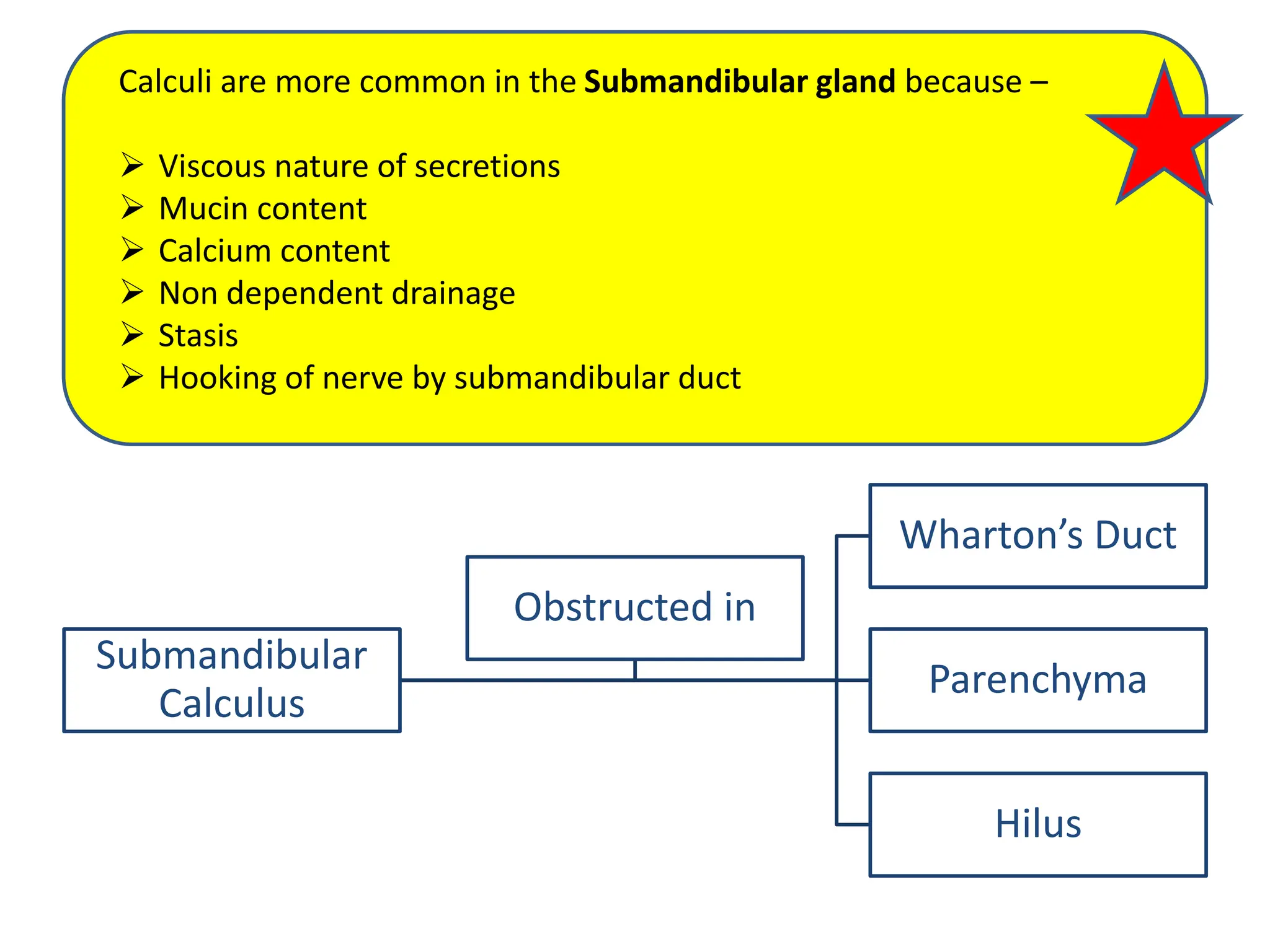 DISORDERS OF SALIVARY GLANDS-1- tumors,stones | PPTX