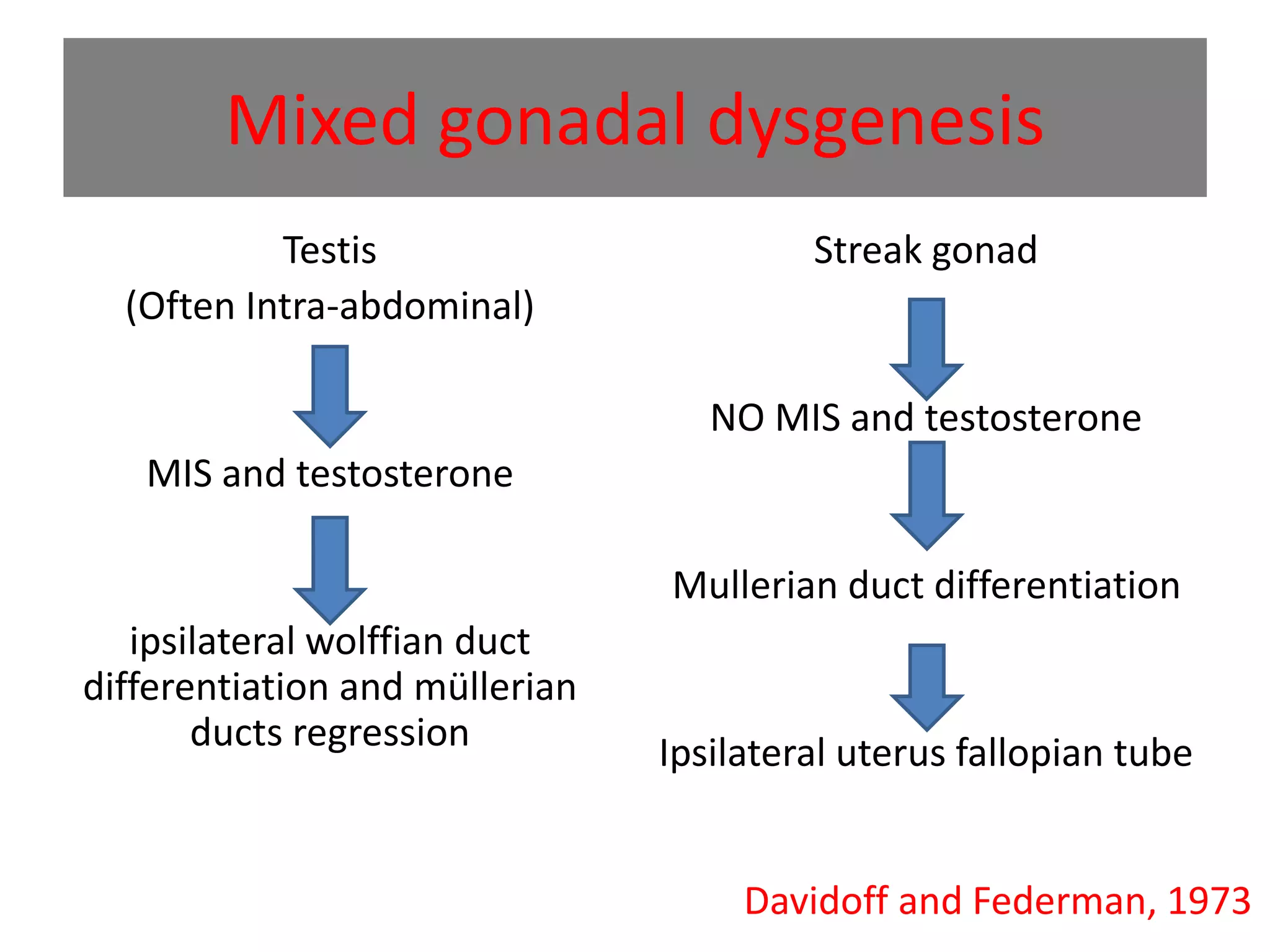 Disorders Of Sex Development Pptx
