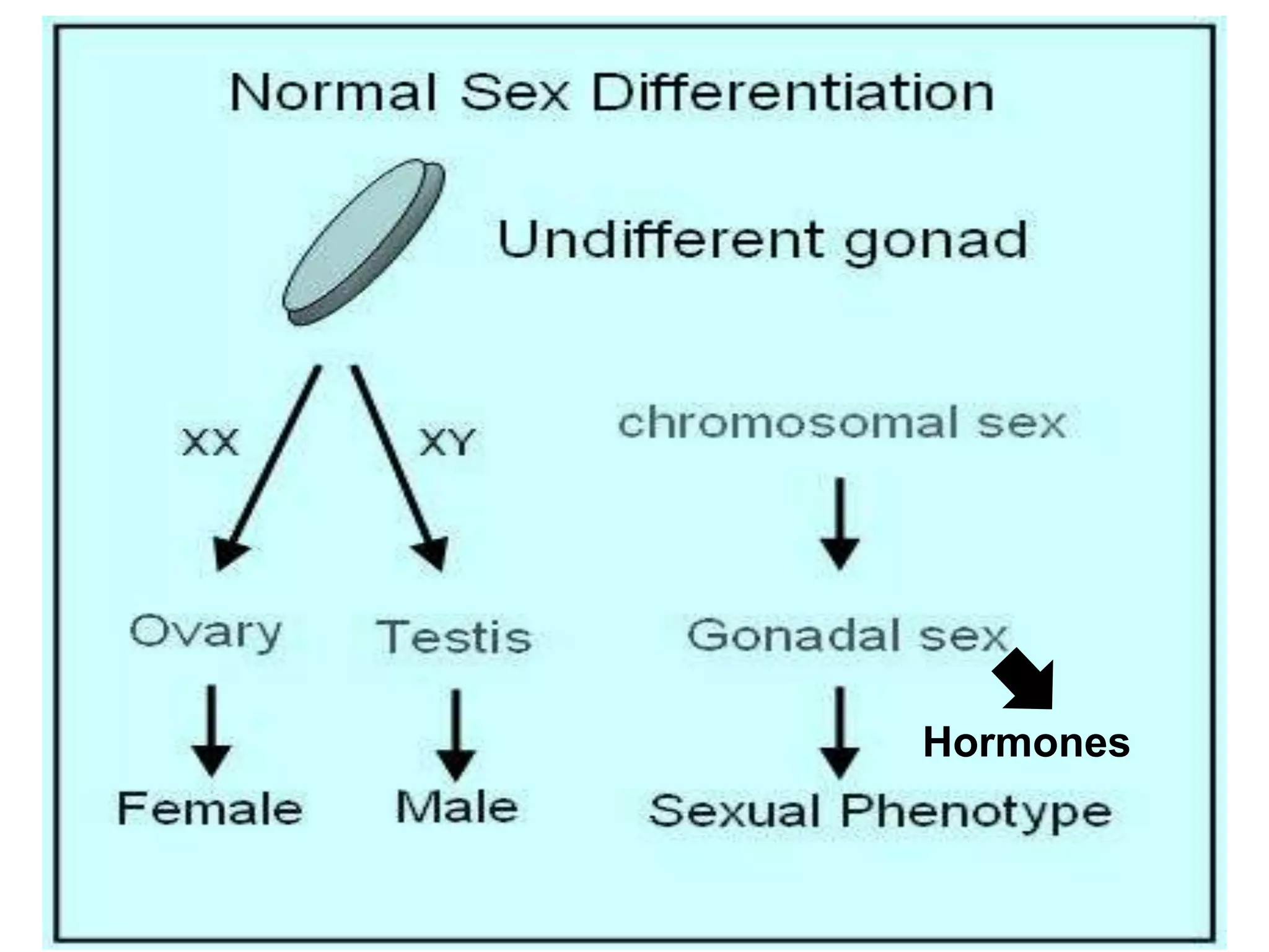 Disorders Of Sex Development Pptx