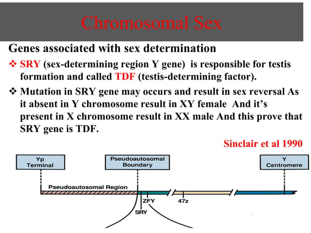 Disorders Of Sex Development Pptx 9286