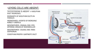 Disorders of sexual development | PPTX