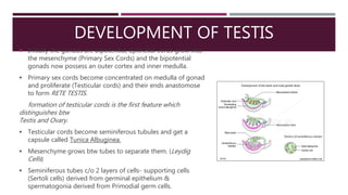 Disorders of sexual development | PPT