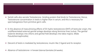 Disorders of sexual development | PPT