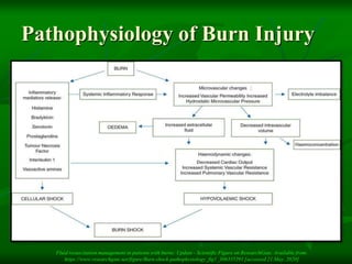 Disorders of skin | PPTX