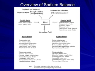 Disorders Of Sodium And Potassium Metabolism | PPT