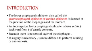 Disorders of the esophagus.pptx