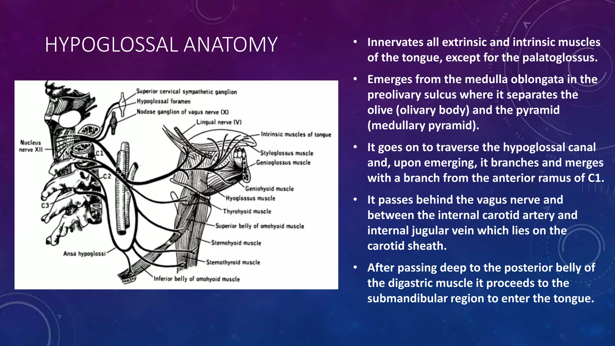 Disorders of the hypoglossal nerves | PPTX