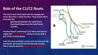Disorders of the hypoglossal nerves | PPTX