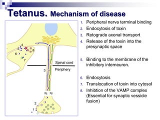 Disorders of the neuromuscular junction | PPTX