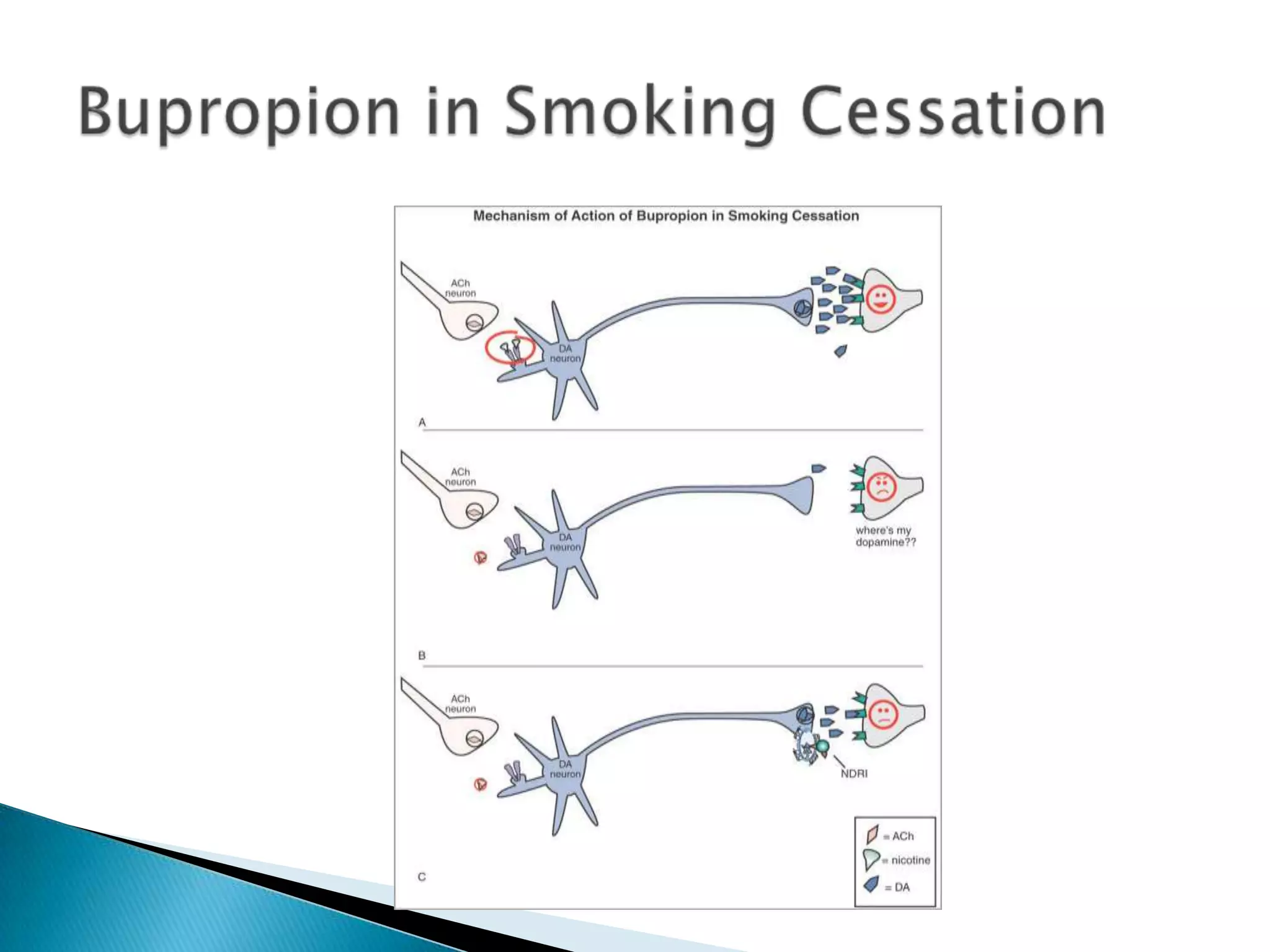 Disorders of the reward system | PPTX