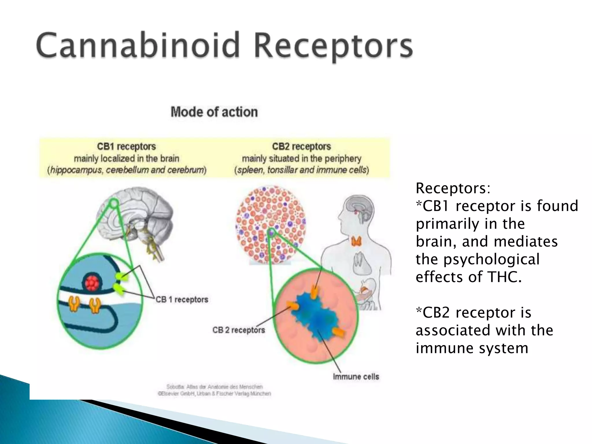 Disorders of the reward system | PPTX
