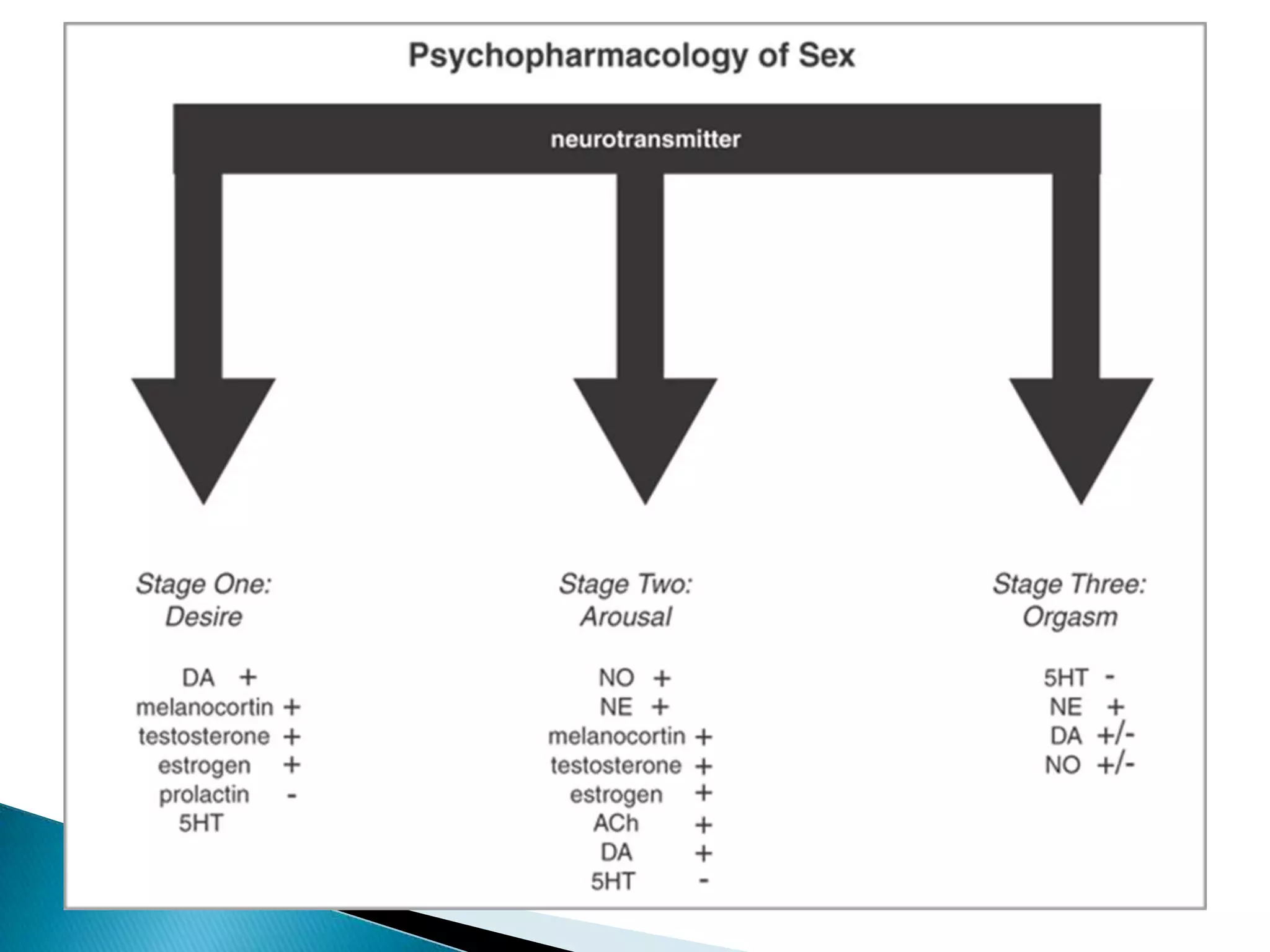 Disorders of the reward system | PPTX