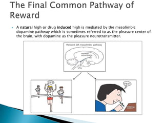 Disorders of the reward system | PPT